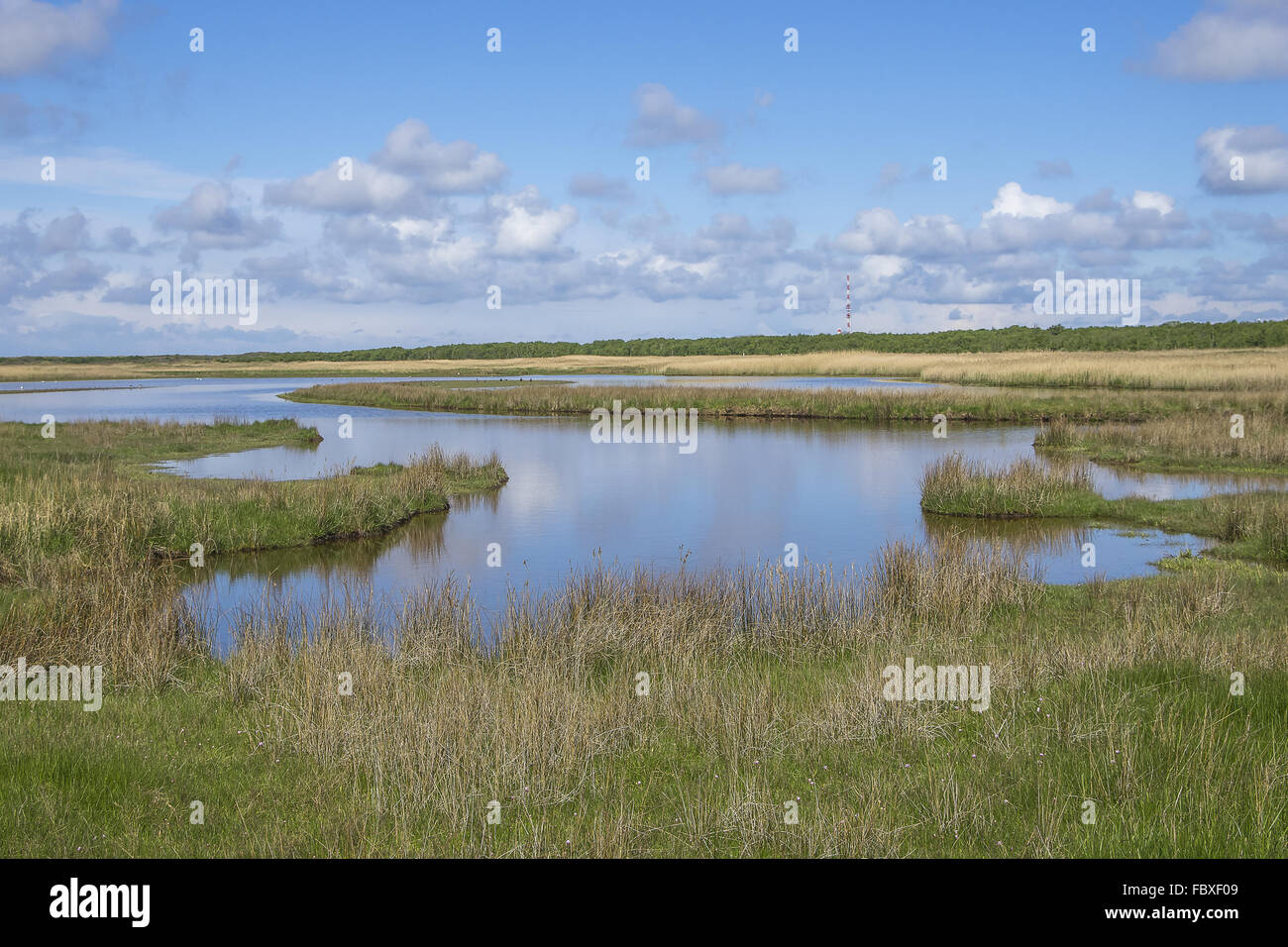 Wolde High Resolution Stock Photography and Images - Alamy