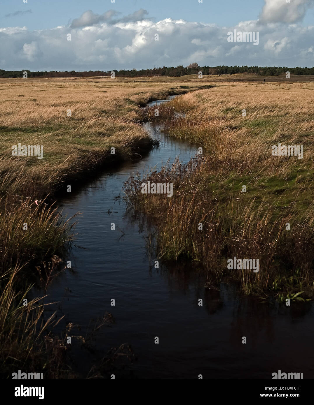 Tidal flood plain hi-res stock photography and images - Alamy