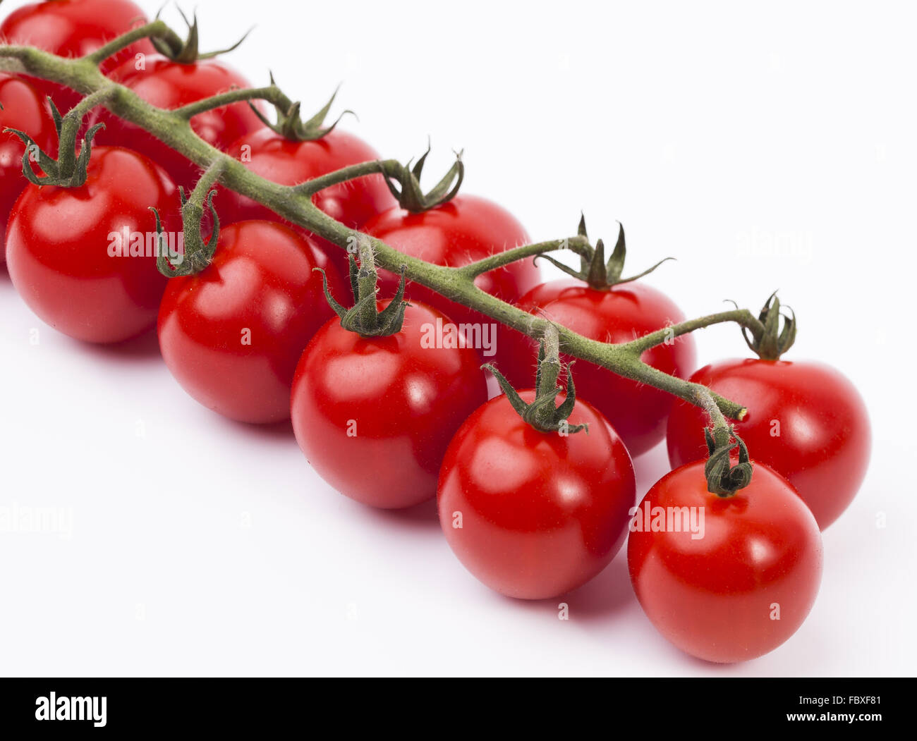 Tomato on the vine Stock Photo - Alamy