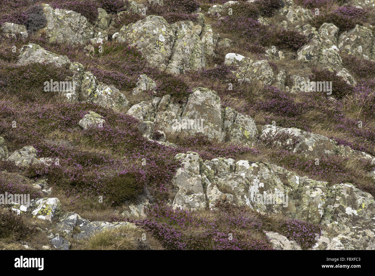 Lump Of Rock High Resolution Stock Photography and Images - Alamy