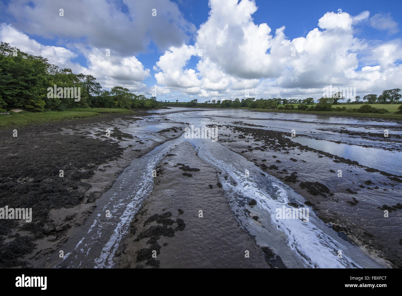 Very low river hi-res stock photography and images - Alamy