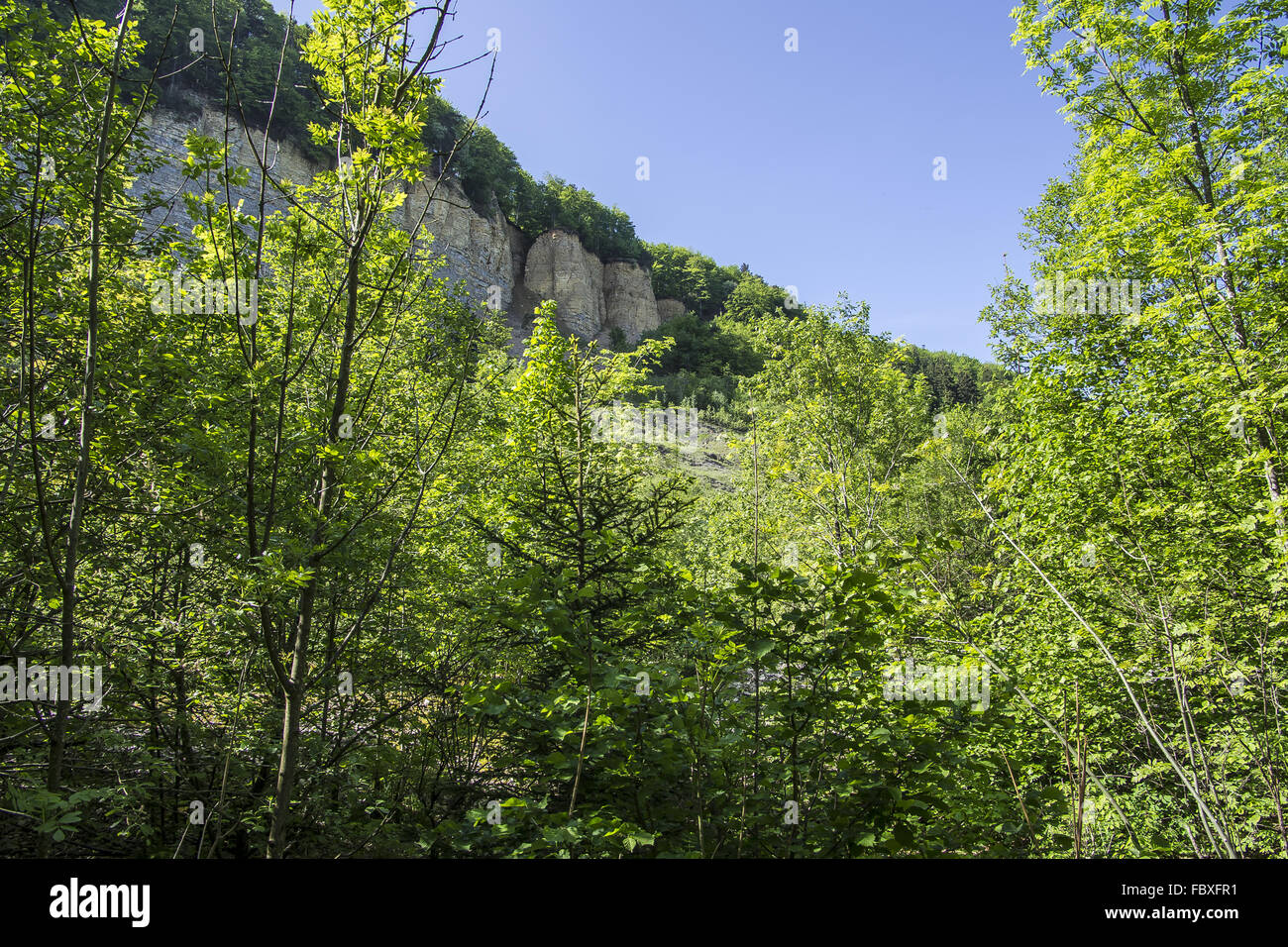 Rockfall near M├╢ssingen Stock Photo - Alamy