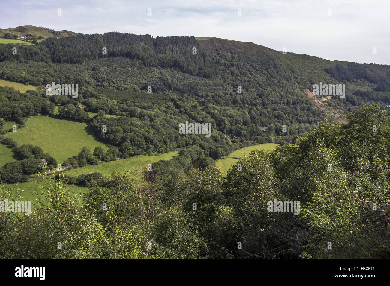 Vale of Rheidol Stock Photo - Alamy