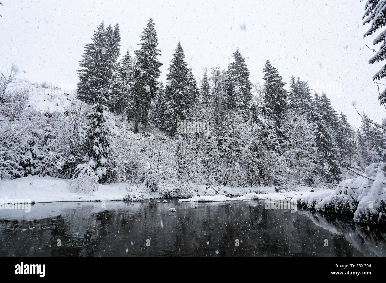 Winter landscape river during snowfall Stock Photo - Alamy