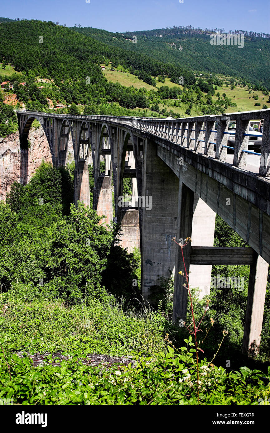 Tara place hi-res stock photography and images - Alamy