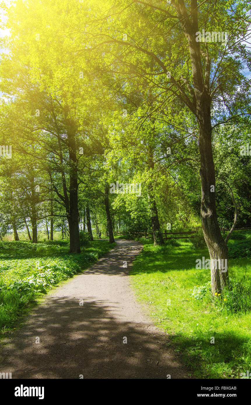 Sunny park with trail Stock Photo - Alamy