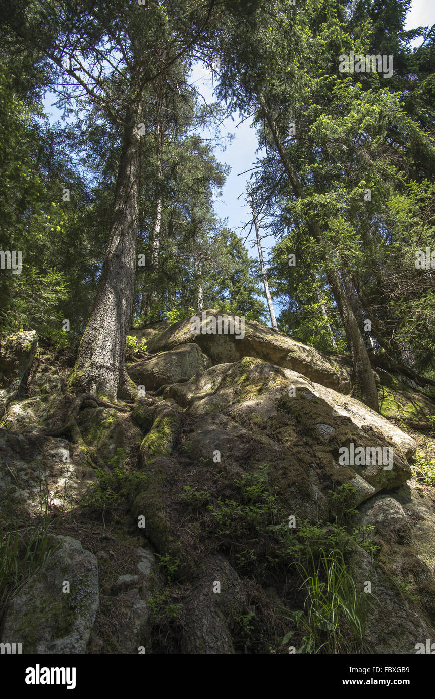 Salvest - nice and steep Stock Photo - Alamy