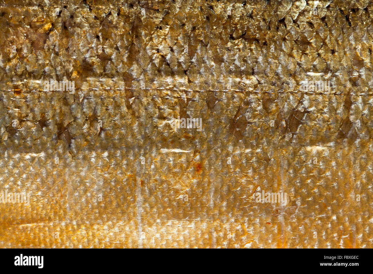 Fish scales texture hi-res stock photography and images - Alamy