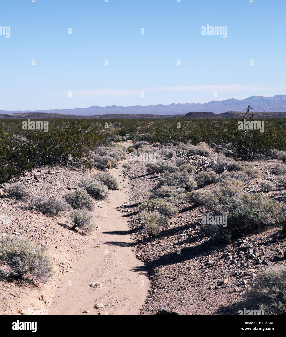desert in california Stock Photo - Alamy