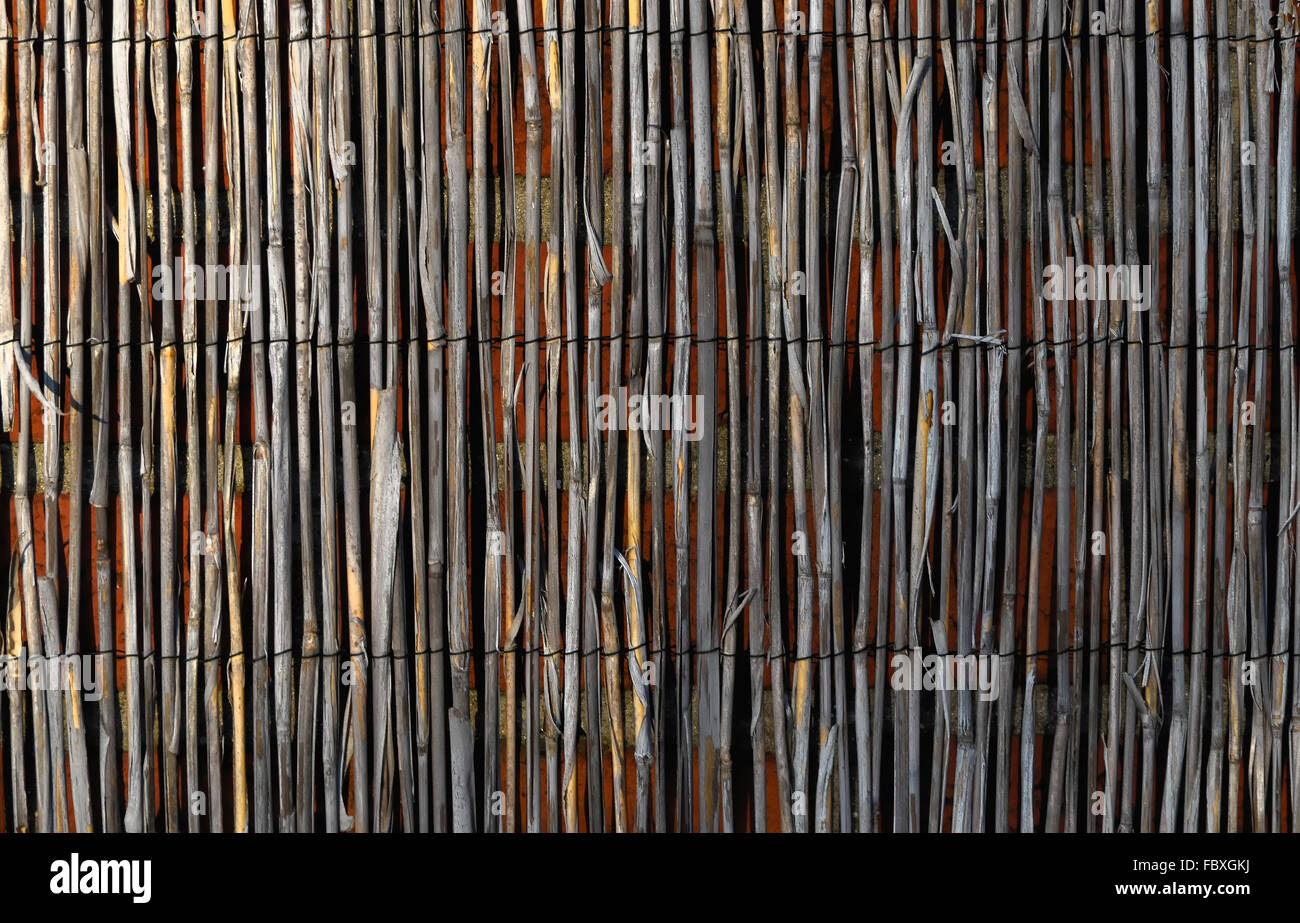 Natural structure hi-res stock photography and images - Alamy