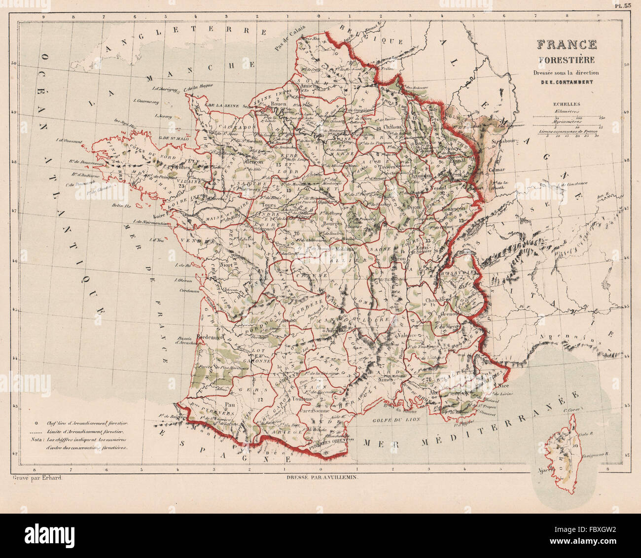 FRANCE FORESTS. Forestière. CORTAMBERT, 1880 antique map Stock Photo ...