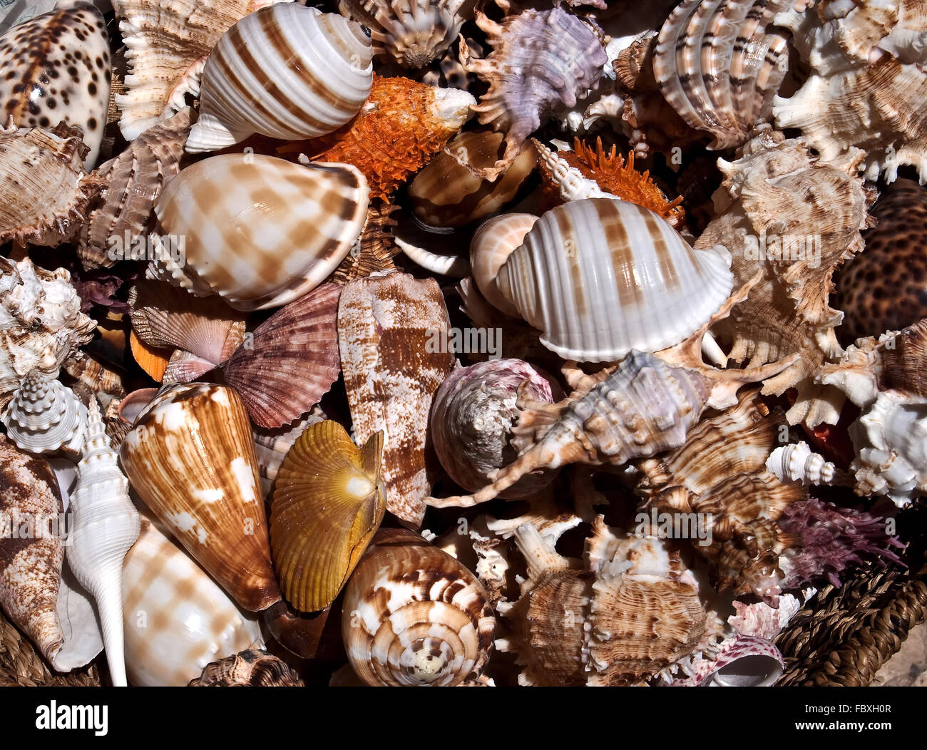 Sommerurla hi-res stock photography and images - Alamy