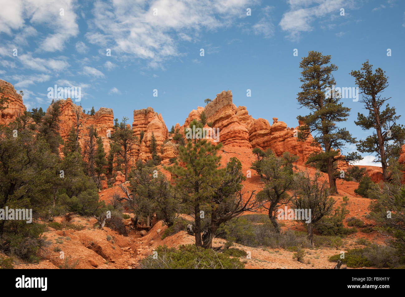 red Bryce Canyon Stock Photo - Alamy
