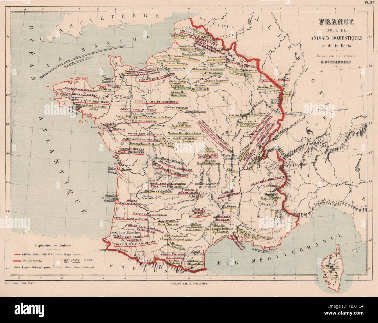 Map Where Are Domesticated Sheep