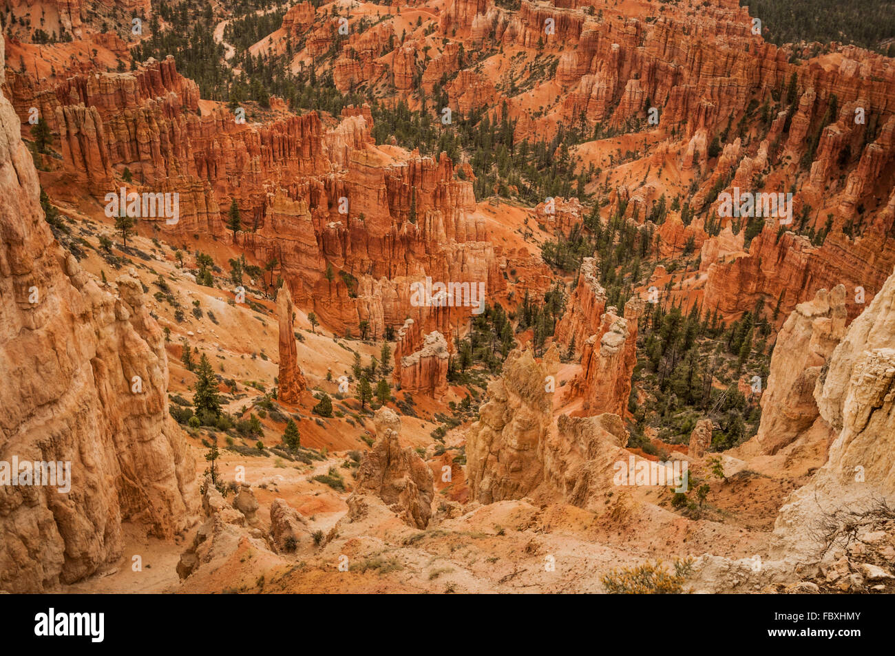 Canyon Bryce great rocks Stock Photo - Alamy