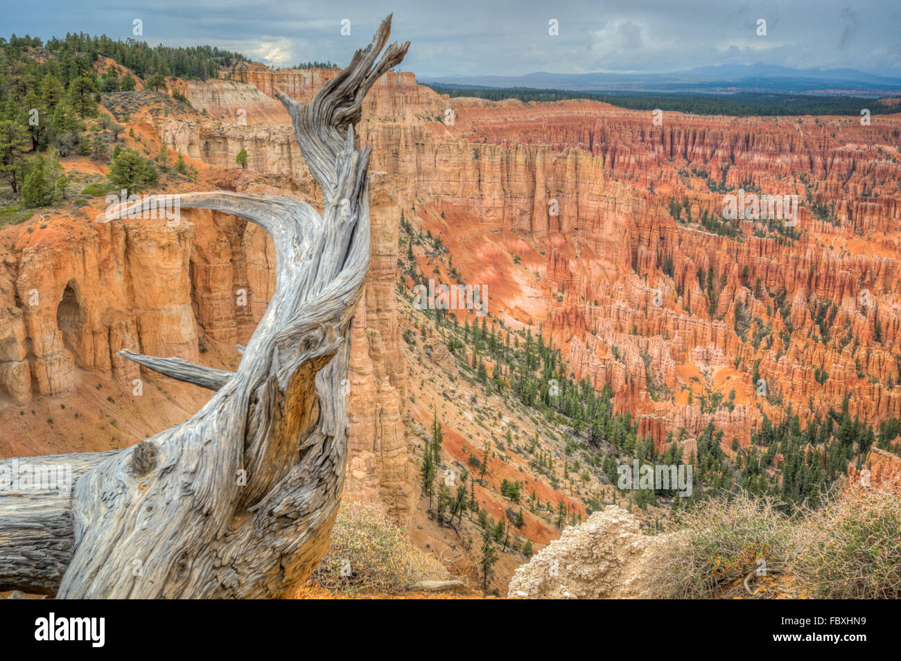 Canyon Bryce at rain Stock Photo - Alamy