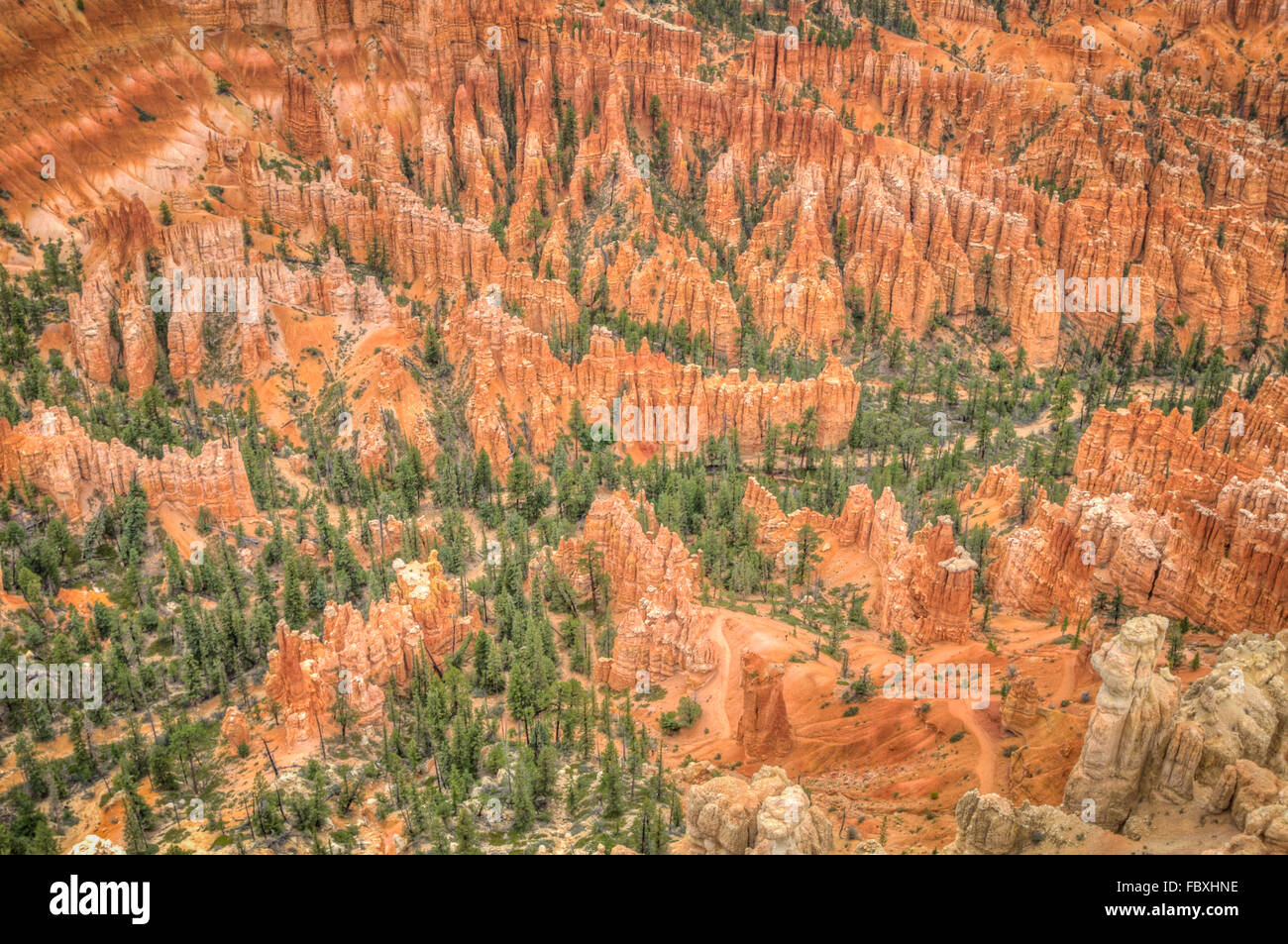 Bryce Canyon amphitheater valley Stock Photo - Alamy