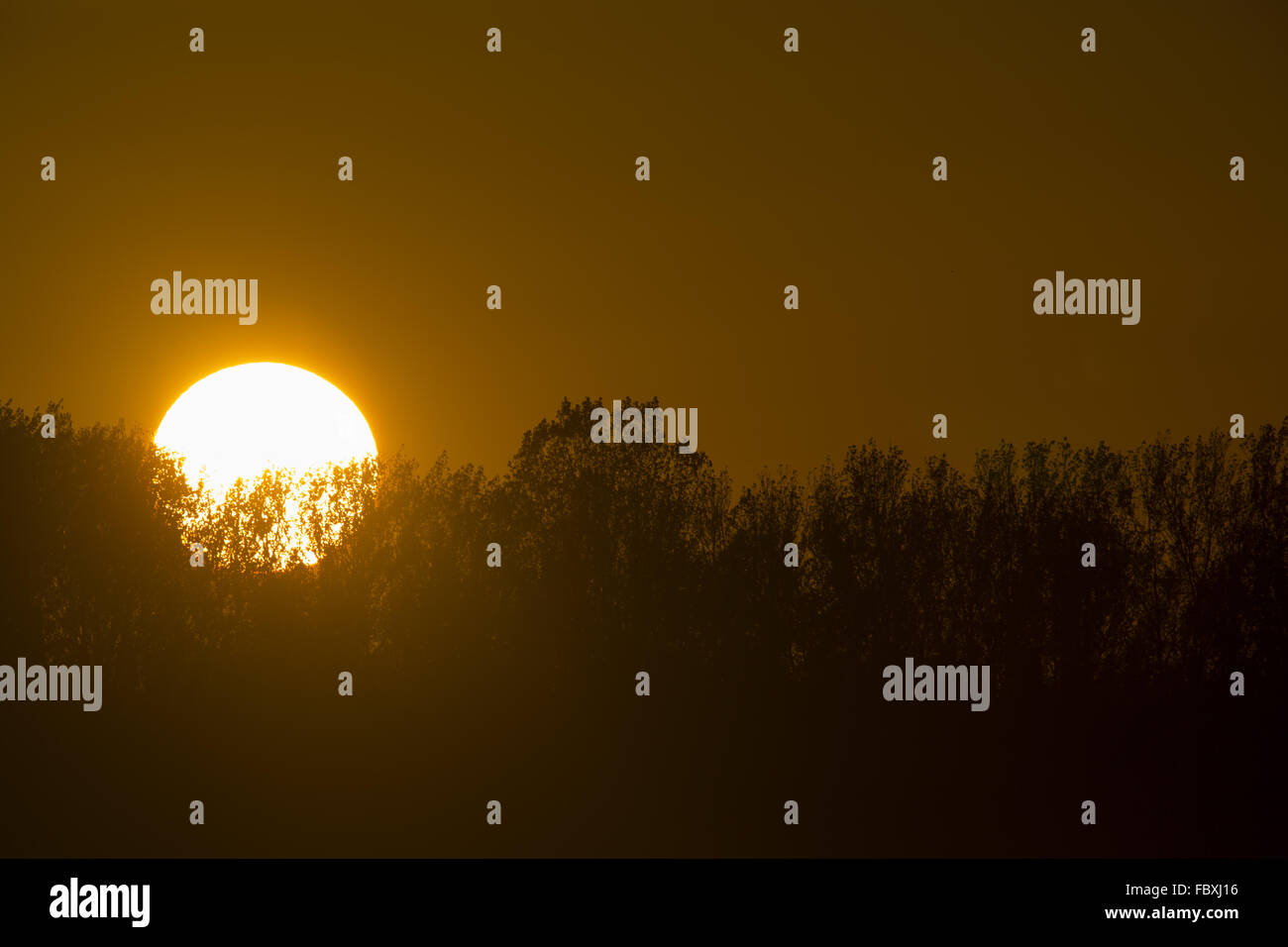 Sunset nature reserve bislicher isle Stock Photo - Alamy