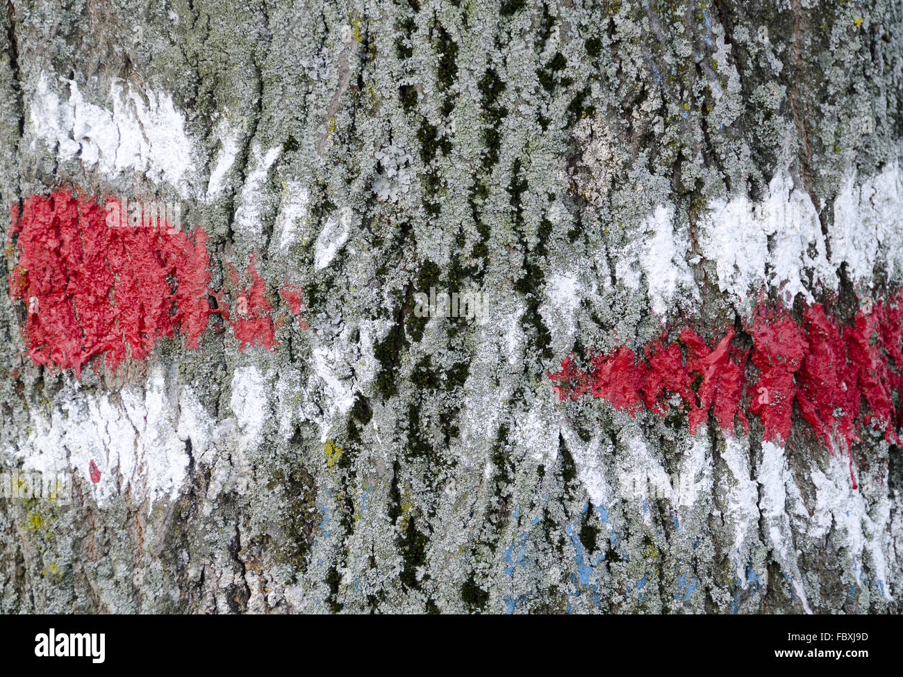 White and red mark hi-res stock photography and images - Alamy
