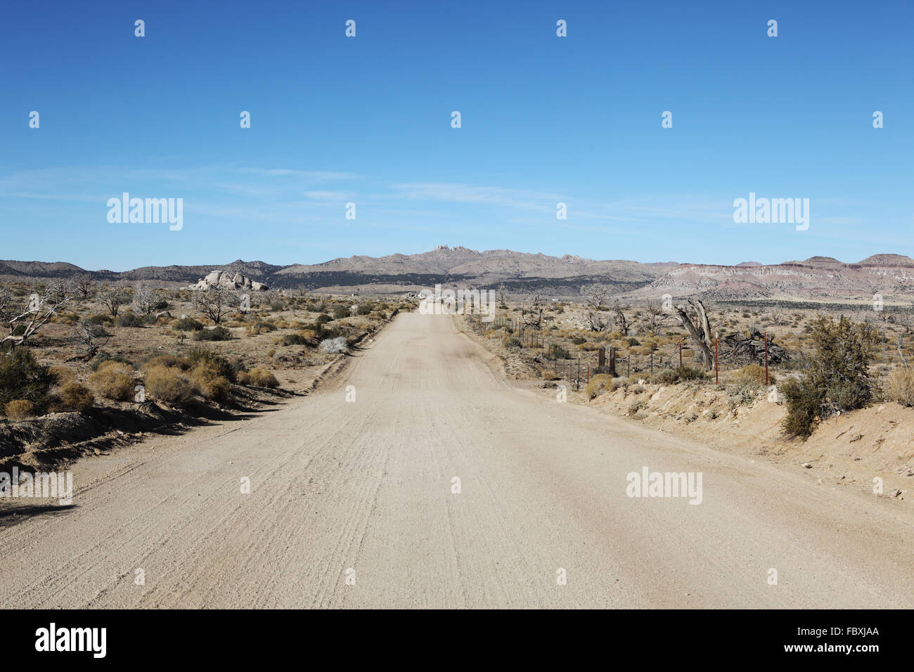 Wuestenp hi-res stock photography and images - Alamy