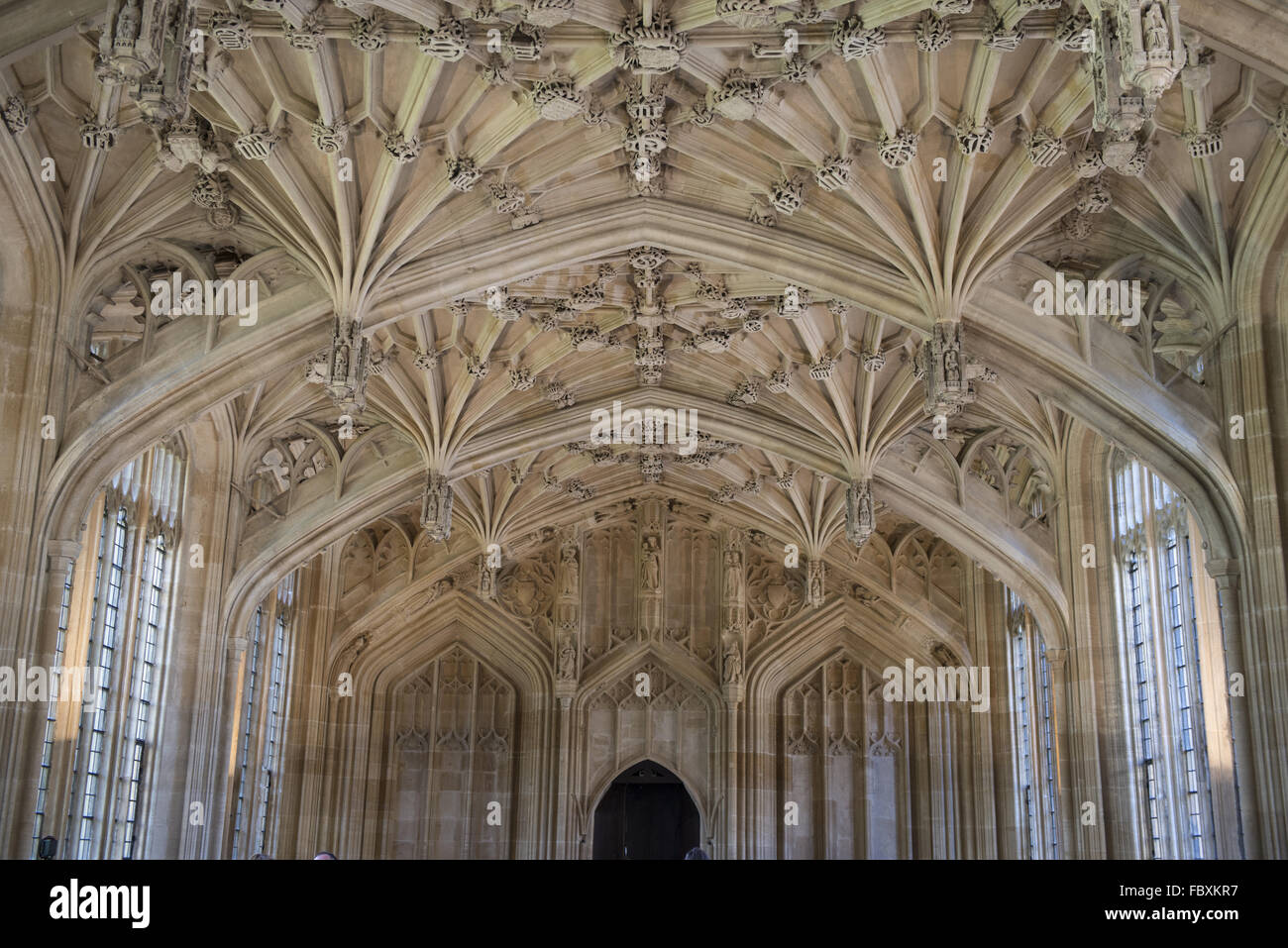 Divinity School in the Bodleian Library Stock Photo - Alamy