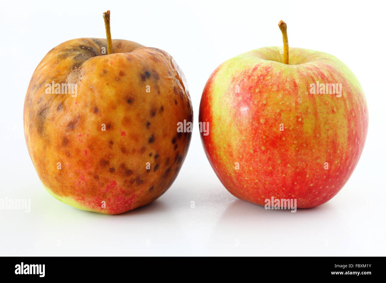 Decay healthy hi-res stock photography and images - Alamy