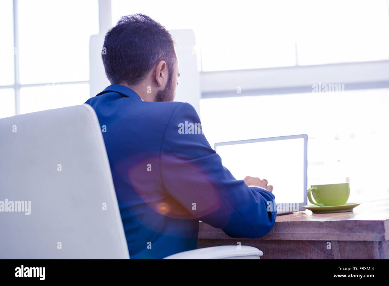 Rear view of business professional working on laptop Stock Photo - Alamy