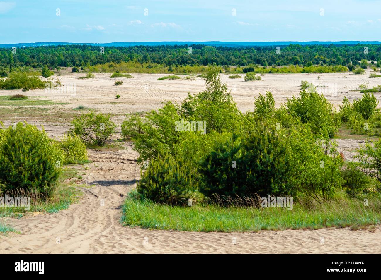 Bledow Desert. Desert in Lesser Poland Created by Human Activity ...