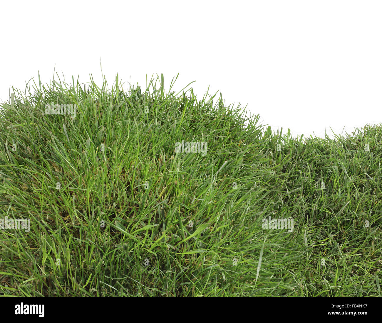 Cutout grass hi-res stock photography and images - Alamy
