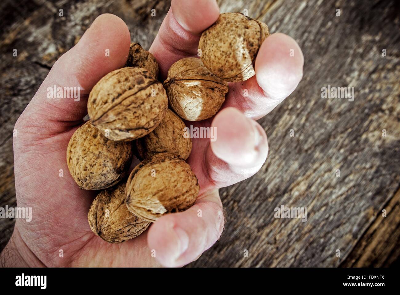 Dried Walnut in Farmer Hand. Rich in Vitamins Delicious Organic Growth ...