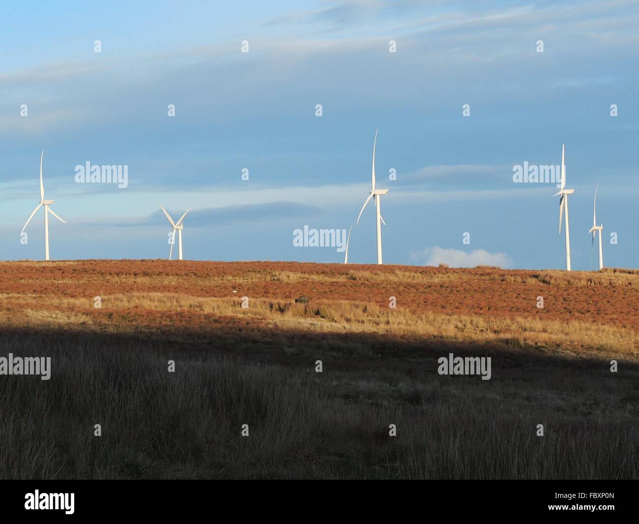 A landscape view of some of the wind turbines, visible from Fairlie ...