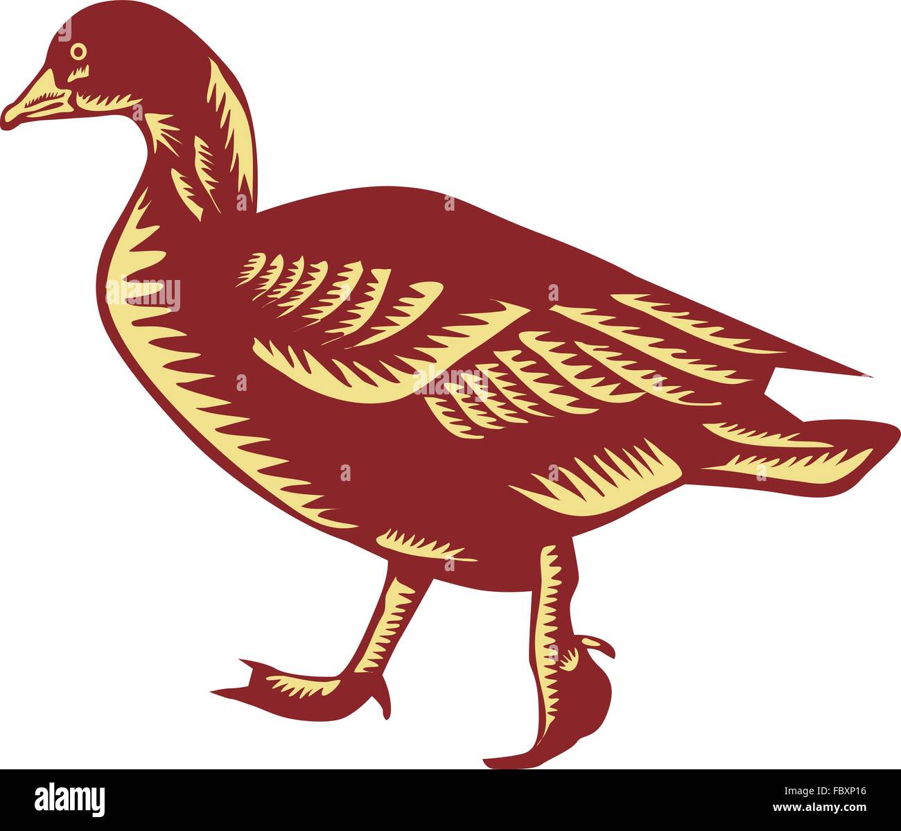 Illustration of a duck walking viewed from the side set on isolated ...