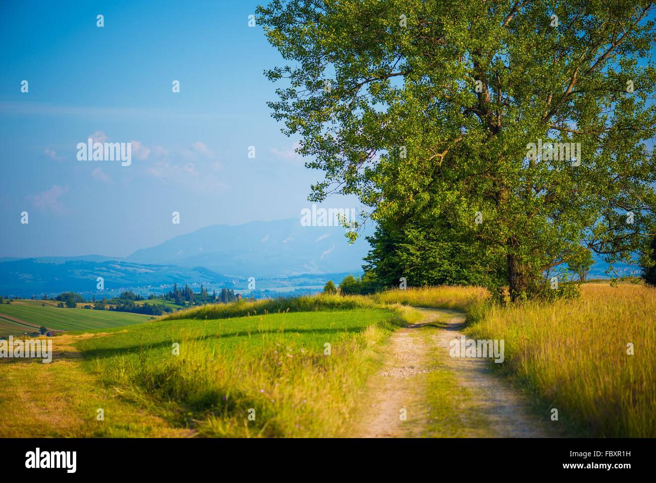 Polish Countryside Road. Highlands, Poland. Summer in the Lesser Poland ...
