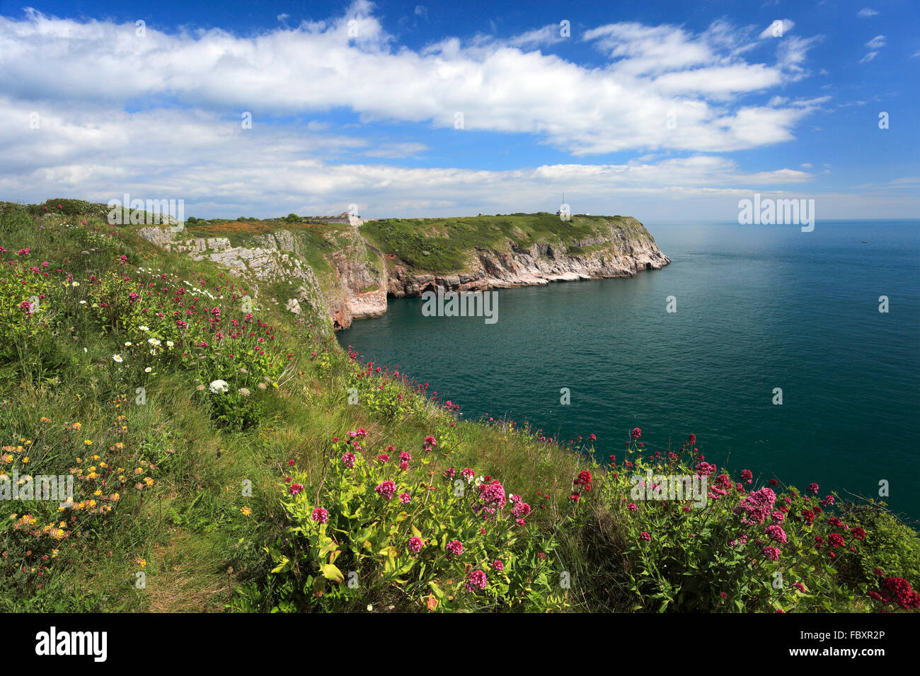 Berry head national nature reserve park hi-res stock photography and ...
