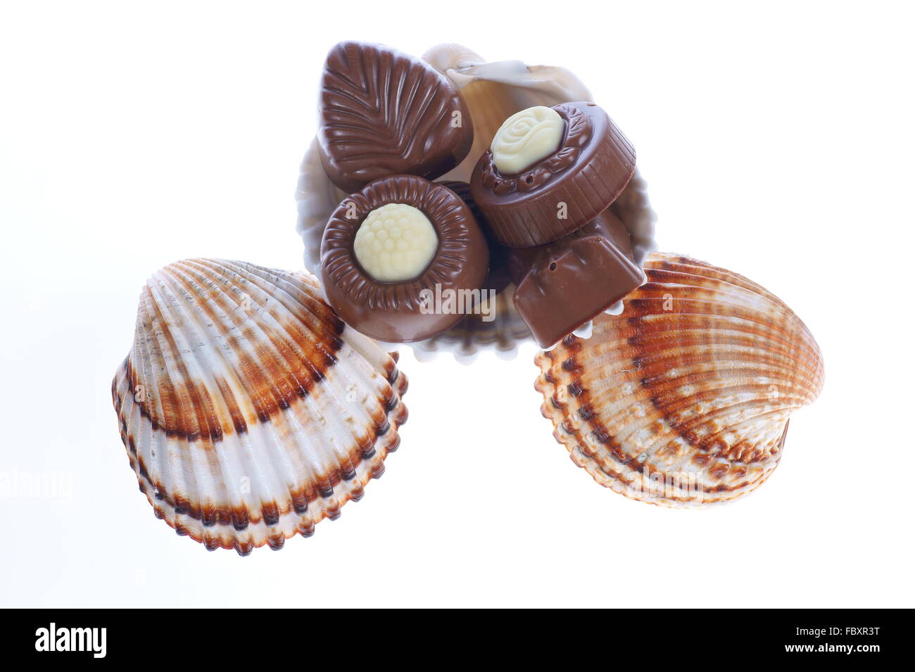 chocolate pralines and shells Stock Photo - Alamy