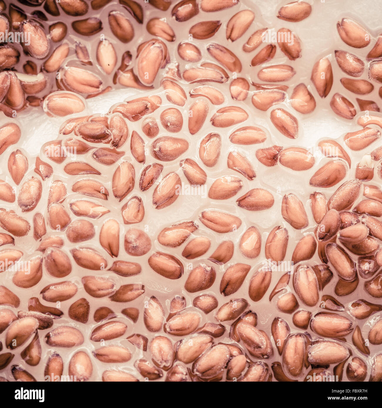 Cress seeds hi-res stock photography and images - Alamy