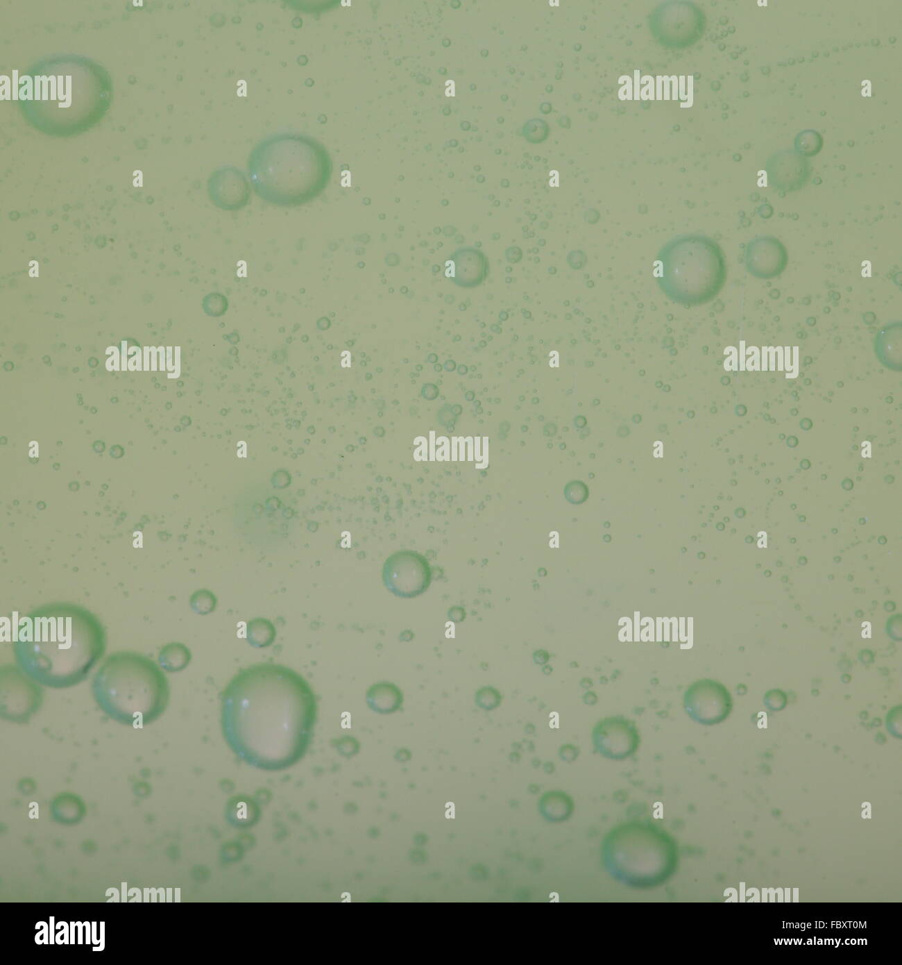 soap bubbles green liquid background Stock Photo - Alamy
