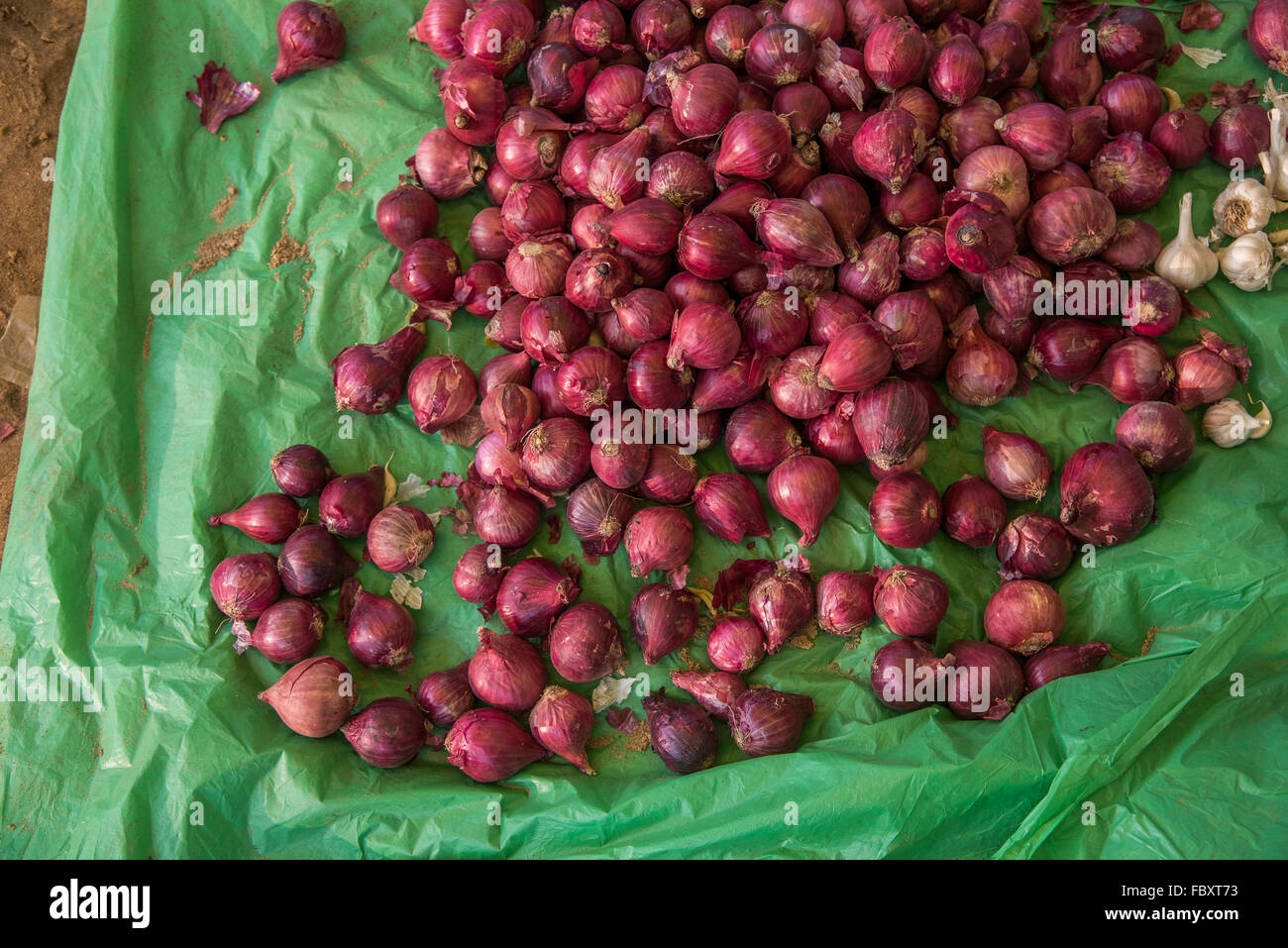 Indian market. Red shallots spread out on a green sack at the very ...