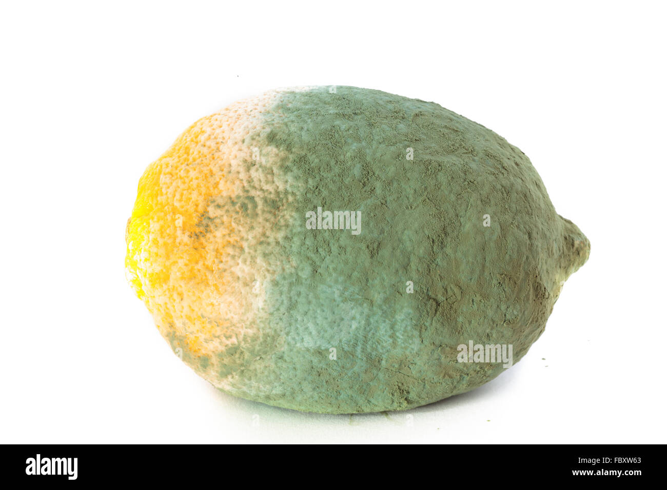 Green moldy lemon citrus fruit isolated. Damaged food Stock Photo - Alamy