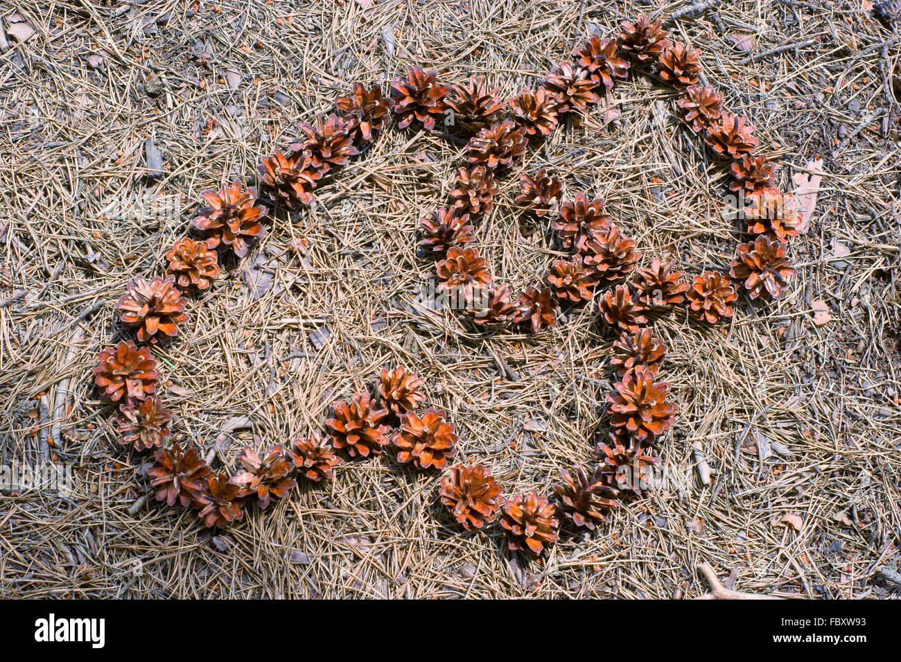 Cone frame hi-res stock photography and images - Alamy