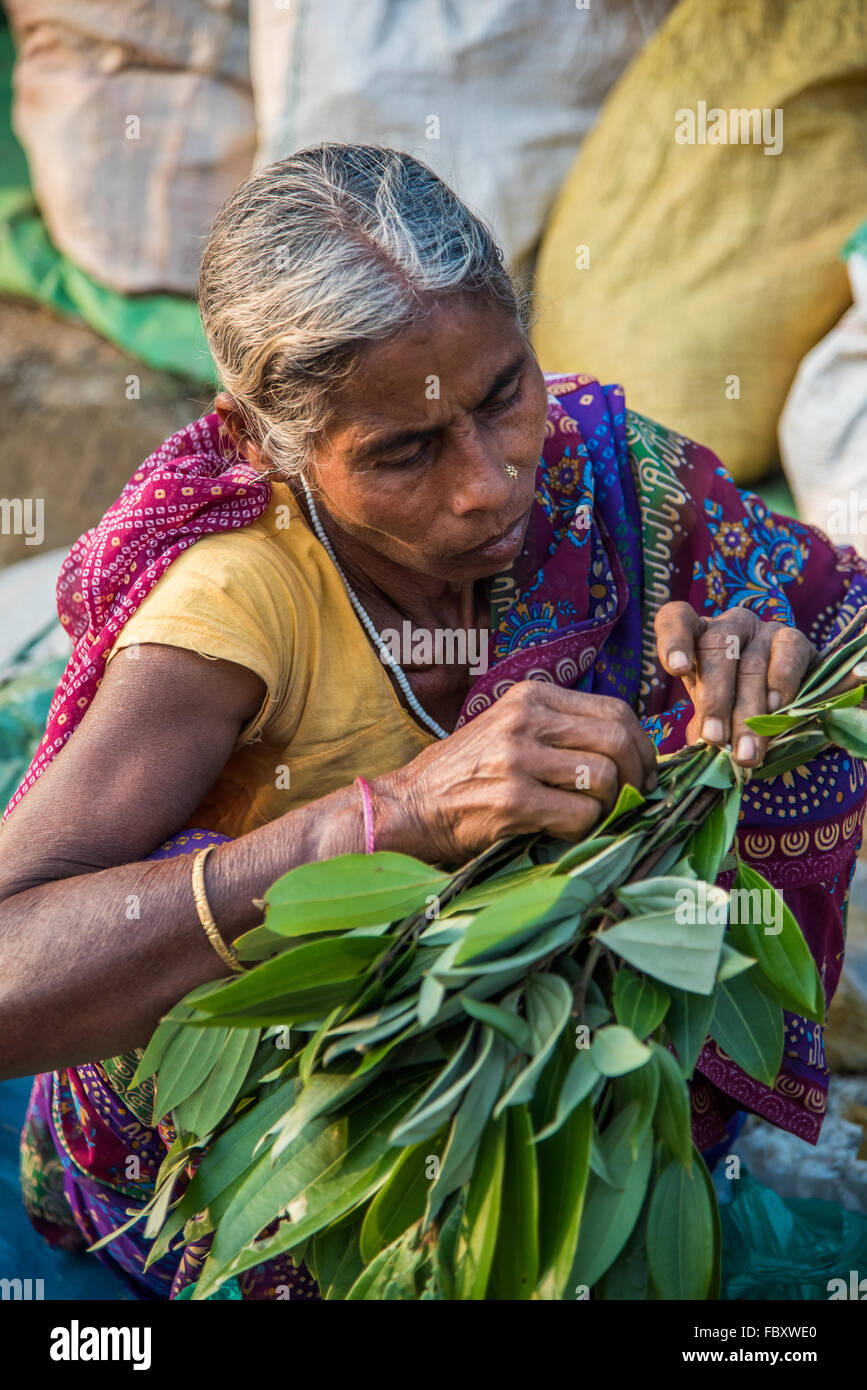 Indian market. Female market trader with fresh green leaves at the very ...