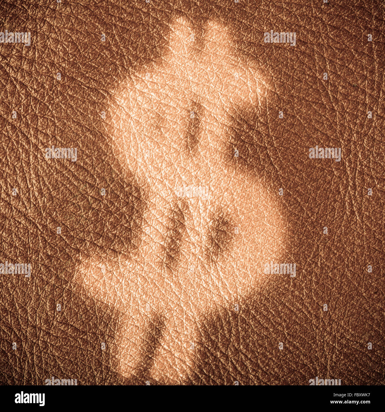dollar sign on brown leather background. Economy and finance Stock ...