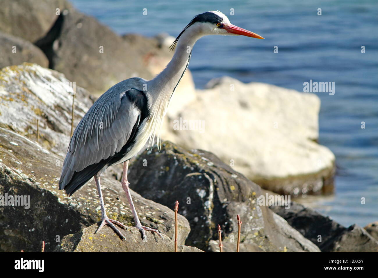 Northeast florida river hi-res stock photography and images - Alamy