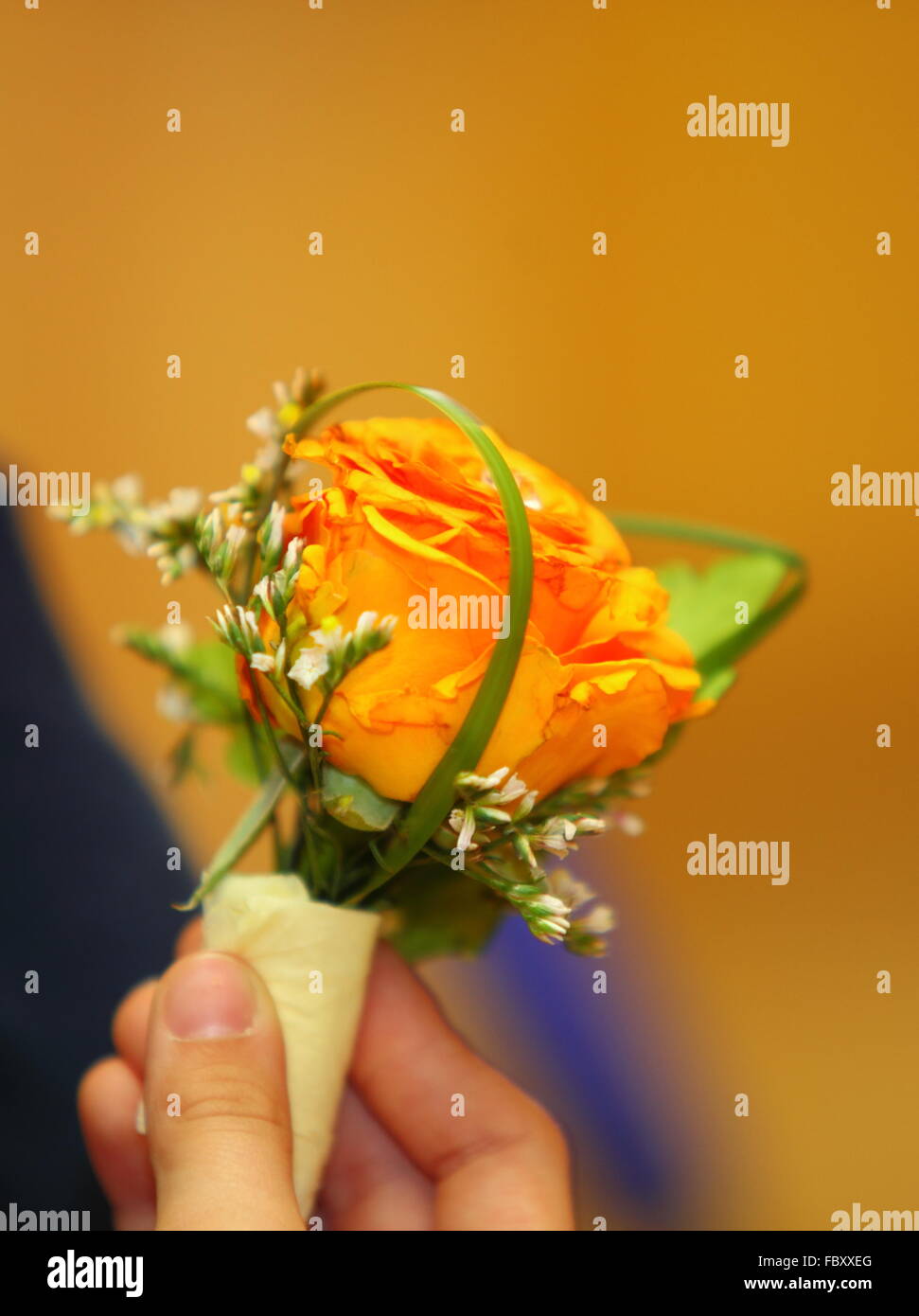 Hand of kid hi-res stock photography and images - Alamy