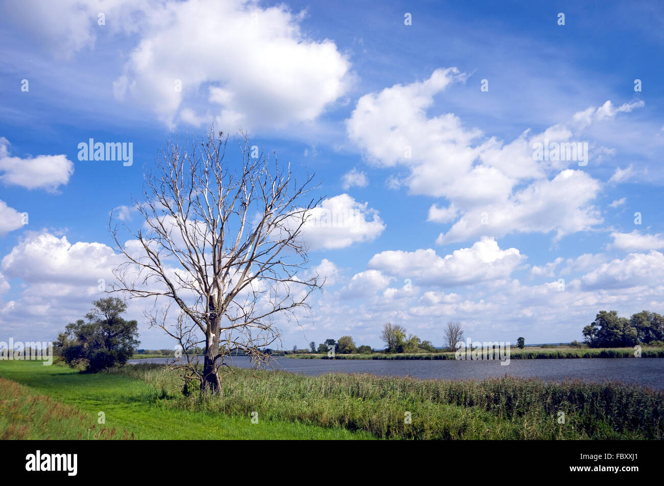 Oder River Brandenburg, Germany Stock Photo - Alamy