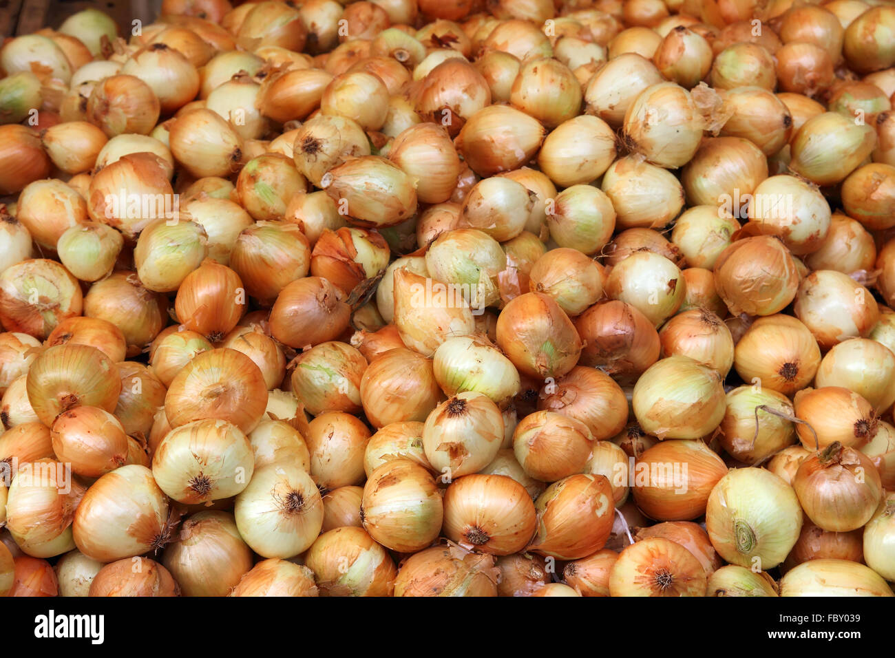 lot of onions Stock Photo - Alamy