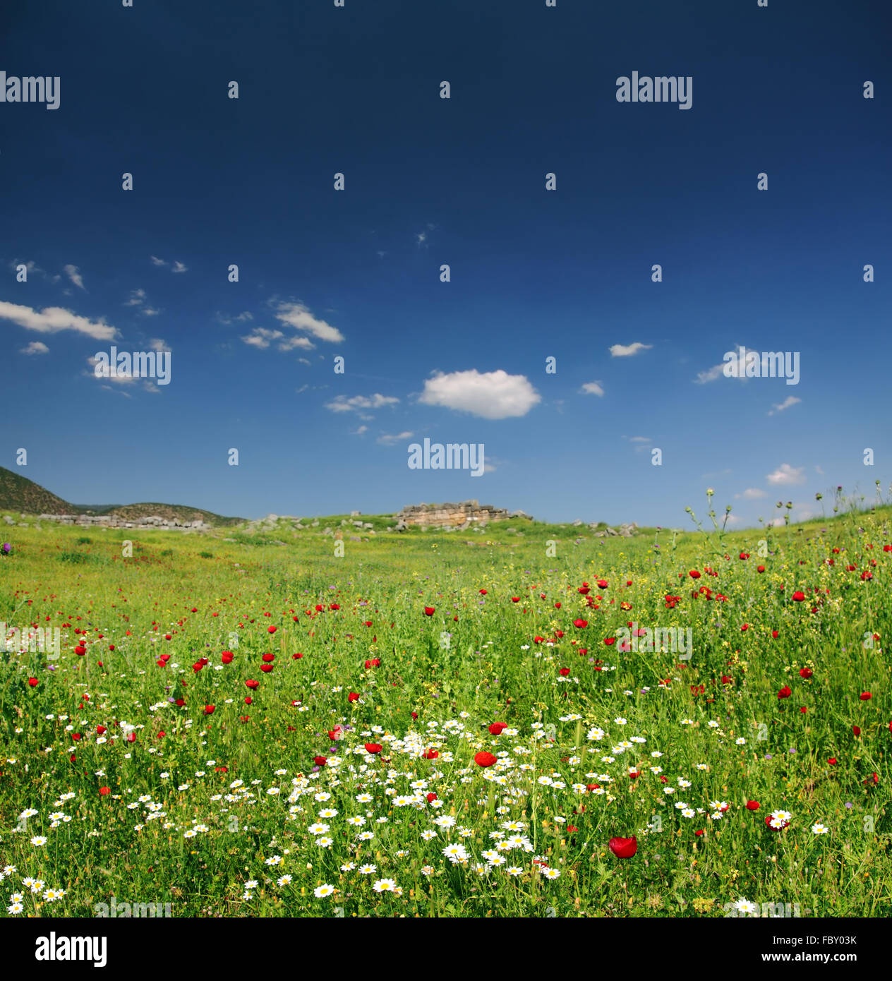Spring in turkey hi-res stock photography and images - Alamy