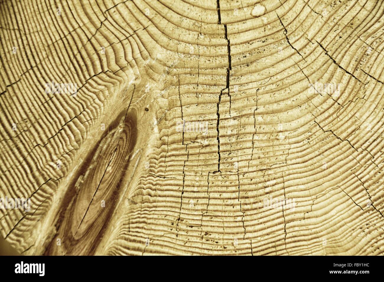 Wood texture background knotted Stock Photo - Alamy