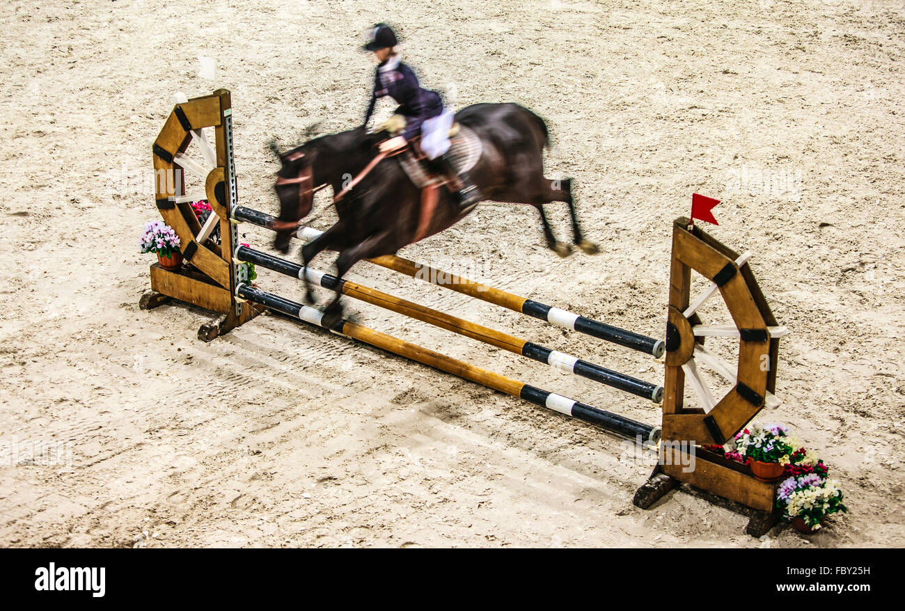 Black horse jump log hi-res stock photography and images - Alamy