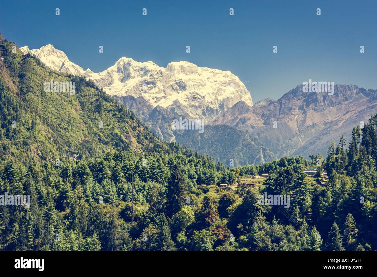 Mountains rising above forest Stock Photo - Alamy